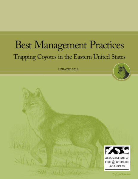 EasternCoyote_BMP_2018_final – Pennsylvania Trappers Association